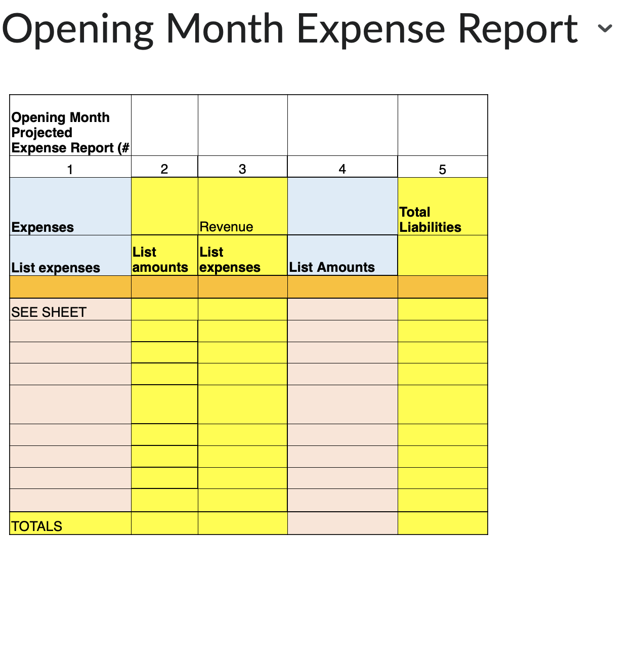 Opening Month Expense Report about nutrition and | Chegg.com