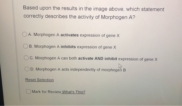Solved Part 7 of 18 - Morphogens The diagram shows the | Chegg.com