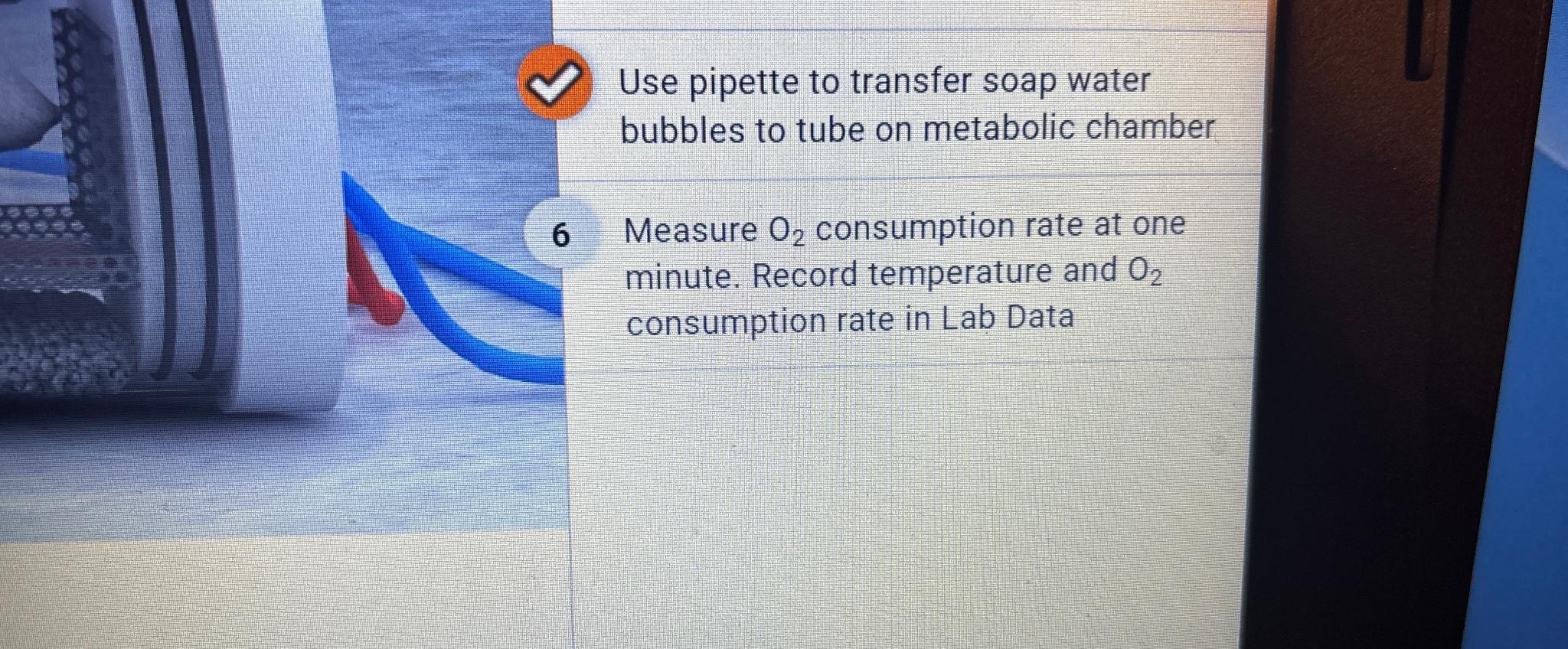 Solved Use pipette to transfer soap water bubbles to tube on | Chegg.com