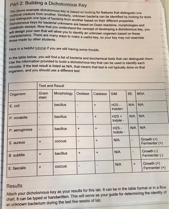 Solved Part 2: Building a Dichotomous Key The above example | Chegg.com