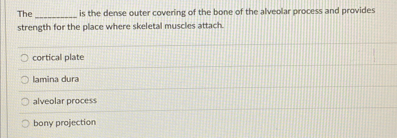 Solved The is the dense outer covering of the bone of the | Chegg.com
