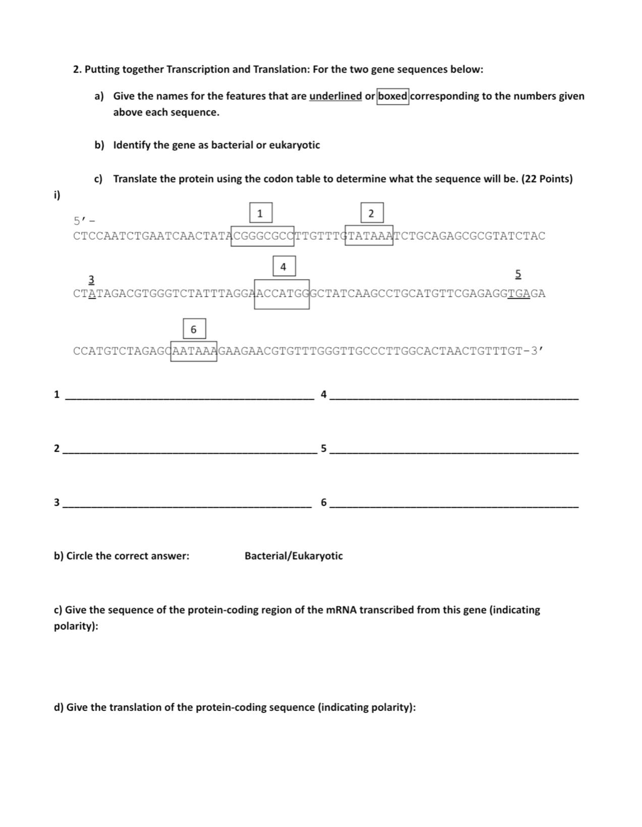 Solved Putting together Transcription and Translation: For | Chegg.com