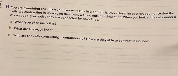 Solved 6 You are examining cells from an unknown tissue in a | Chegg.com