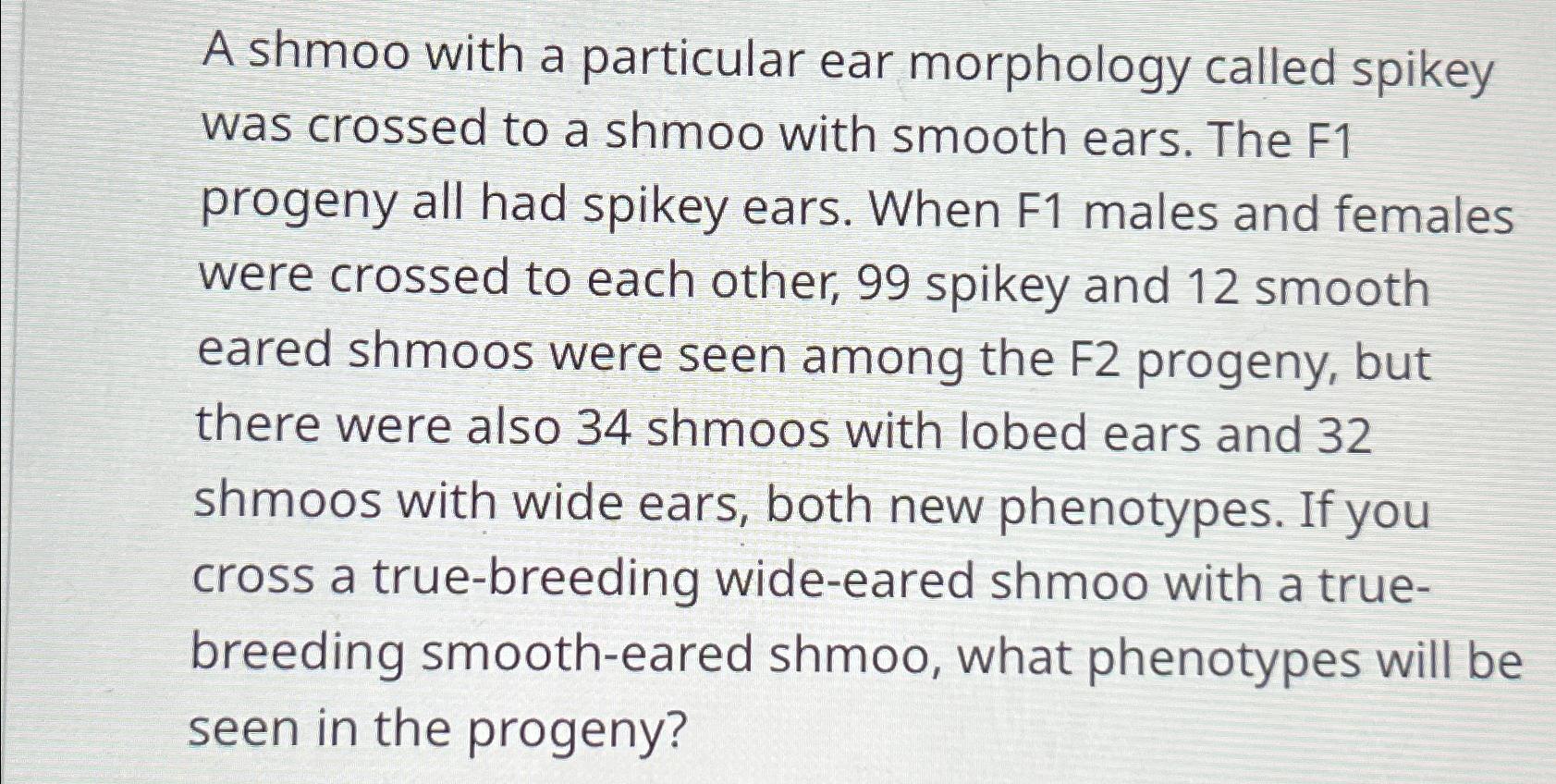 Solved A shmoo with a particular ear morphology called | Chegg.com