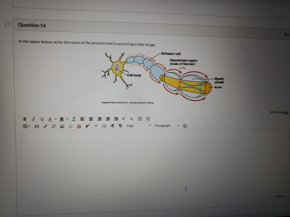Solved Question 16 0.5 In the space below, write the name of | Chegg.com