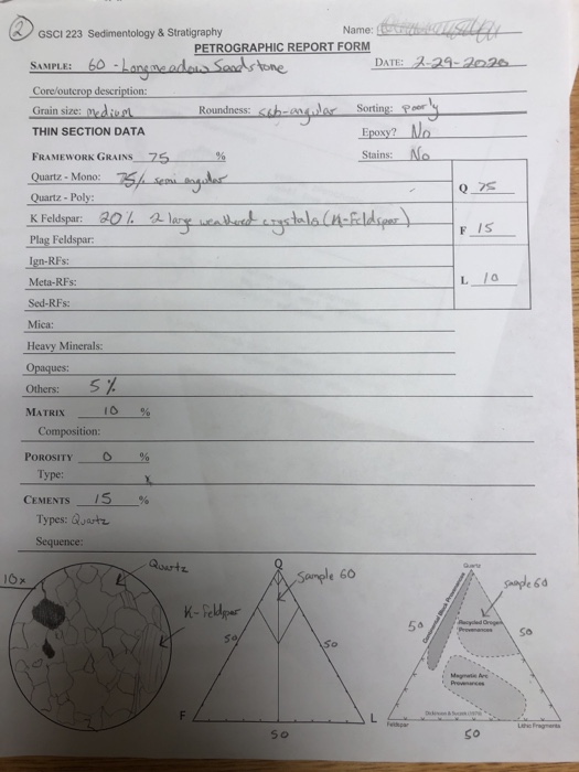 Can you help me fill out this petrographic report | Chegg.com