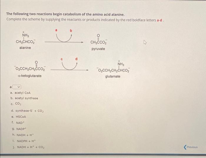 Solved The following two reactions begin catabolism of the | Chegg.com