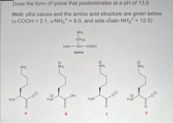 Solved Draw the form of lysine that predominates at a pH of | Chegg.com