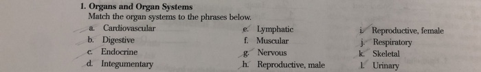 Solved 1. Organs and Organ Systems Match the organ systems | Chegg.com