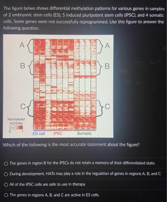 Solved The figure belwo shows differential methylation | Chegg.com