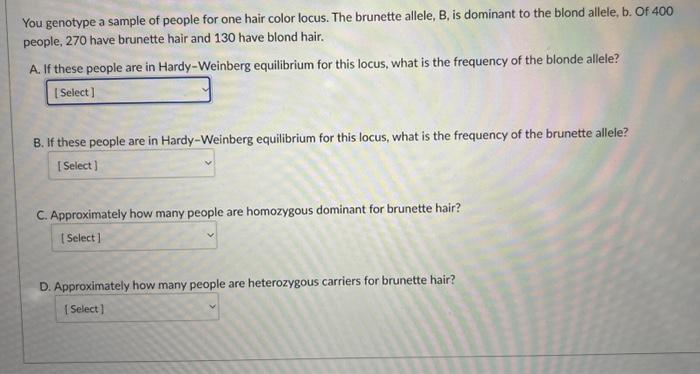Solved You genotype a sample of people for one hair color | Chegg.com