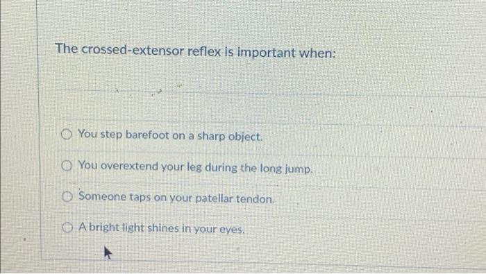 Solved The crossed-extensor reflex is important when: You | Chegg.com