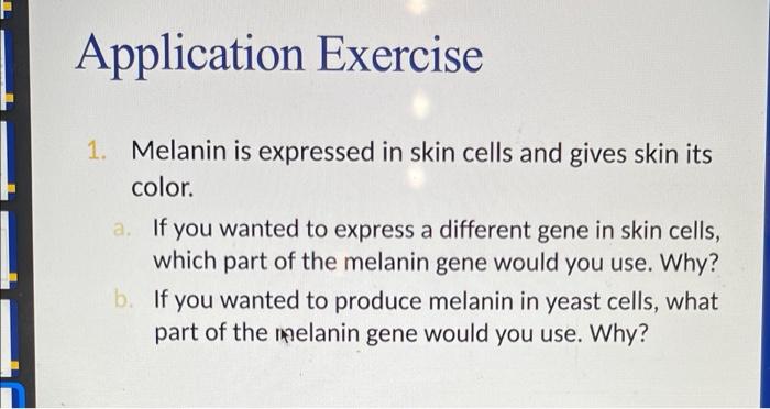 Solved Application Exercise 1. Melanin is expressed in skin | Chegg.com