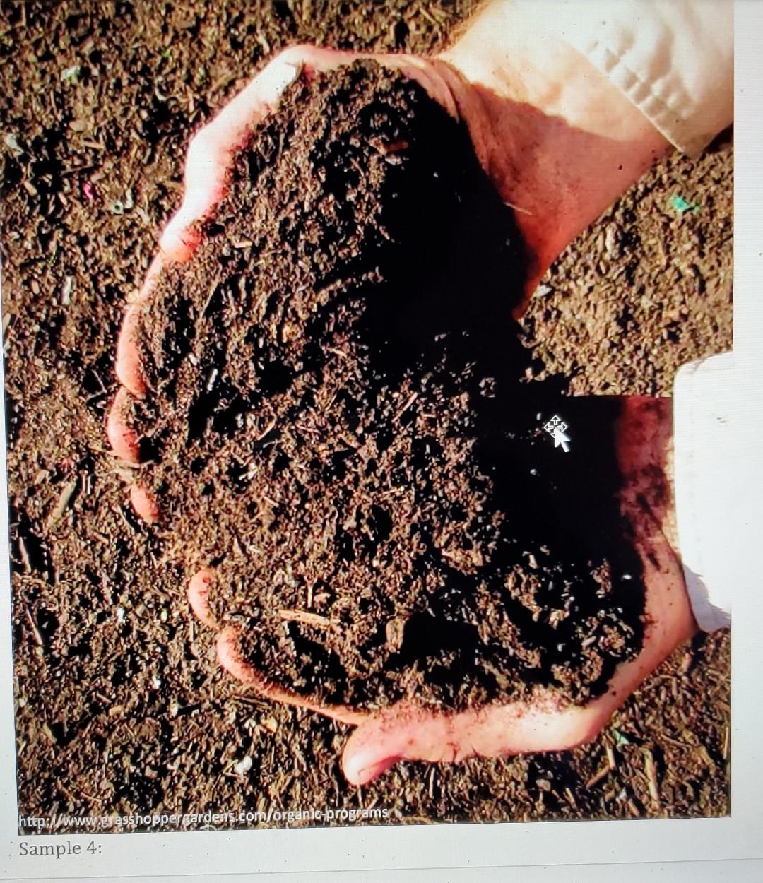 Solved Exercise B: Use the Soil Structure Page Structure For | Chegg.com