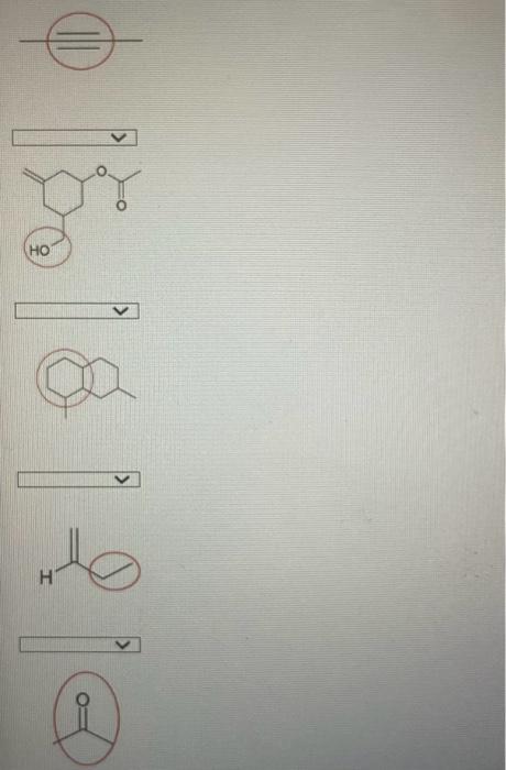 Solved Identify each functional group circled on the | Chegg.com
