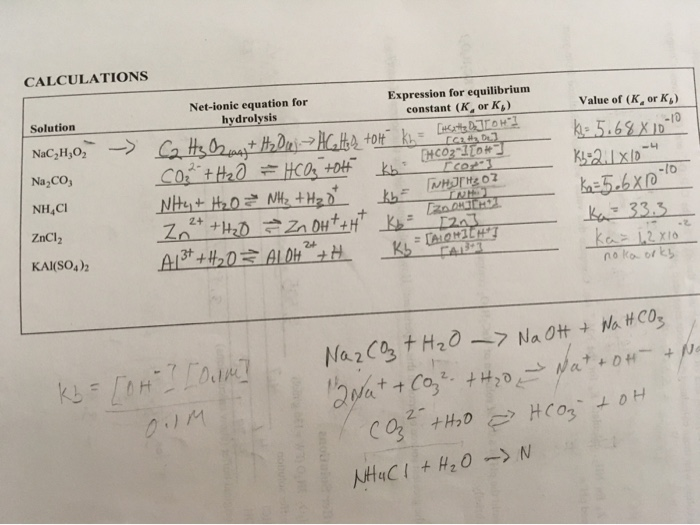 Solved CALCULATIONS Solution Net ionic Equation For Chegg