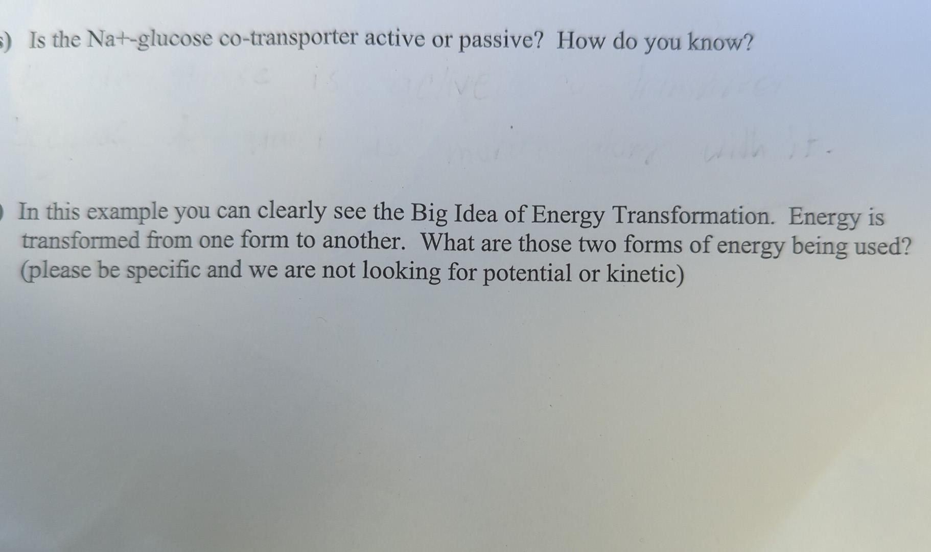 Solved Is the Na+-glucose co-transporter active or passive? | Chegg.com