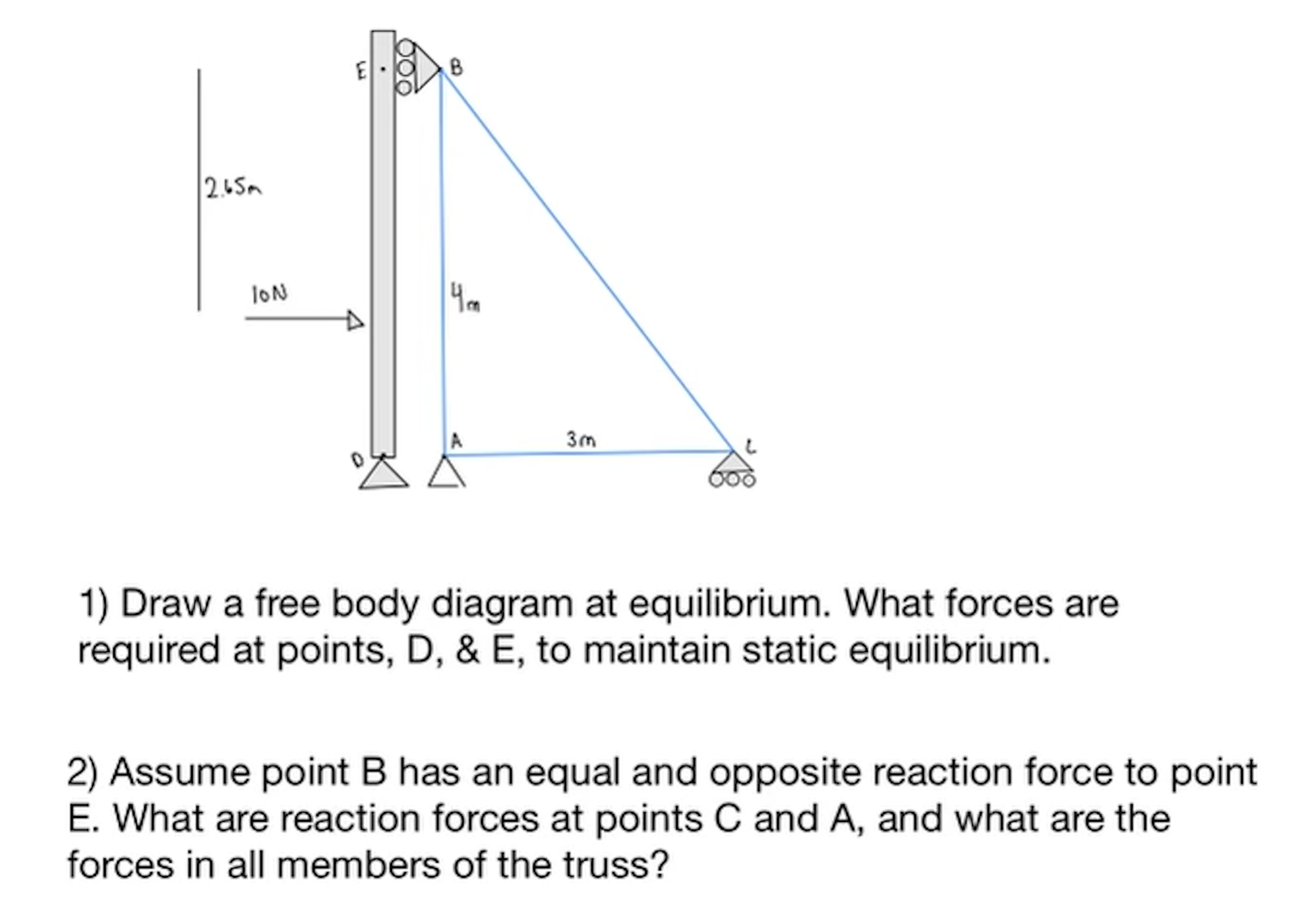 Solved Draw a free body diagram at equilibrium. What forces | Chegg.com