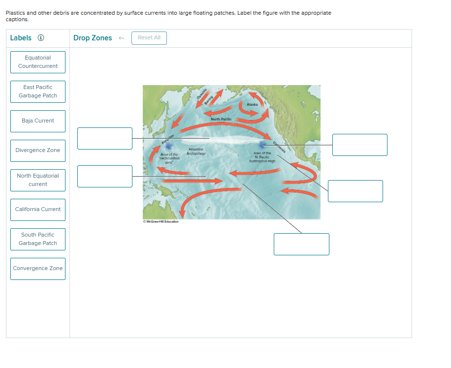 Solved Plastics and other debris are concentrated by surface | Chegg.com