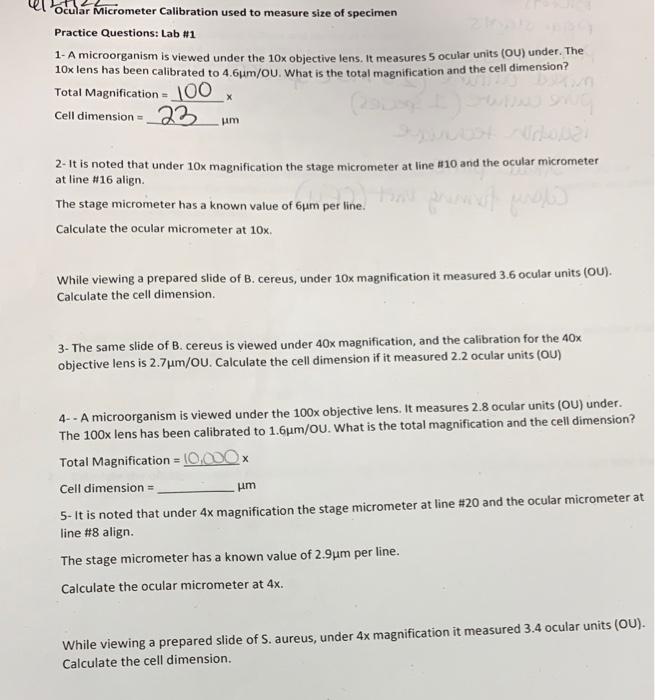 Solved Ocular Micrometer Calibration used to measure size of | Chegg.com