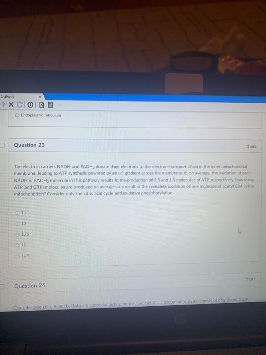 Solved 1) Rab5 and Rab7 constitite a Rab cascade in the | Chegg.com