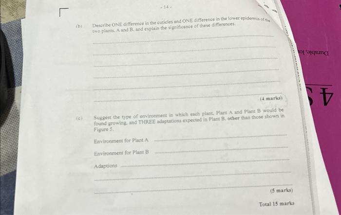 Solved Write your answers in the spaces provided in this | Chegg.com