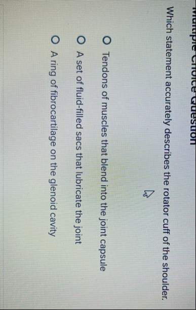 Solved Which statement accurately describes the rotator cuff | Chegg.com