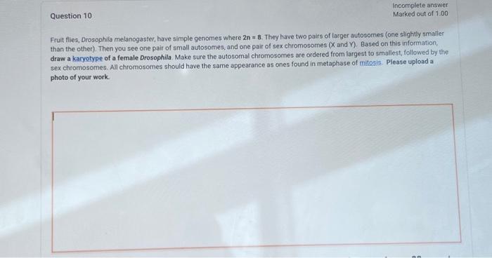 Solved Fruit flies, Drosophila melanogaster, have simple | Chegg.com