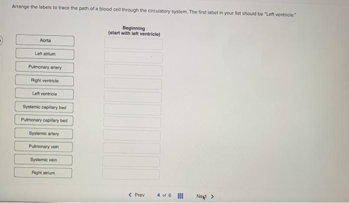 Solved Arrange the labels to trace the path of a blood cell | Chegg.com Solved Arrange the labels to trace the path of a blood cell | Chegg.com