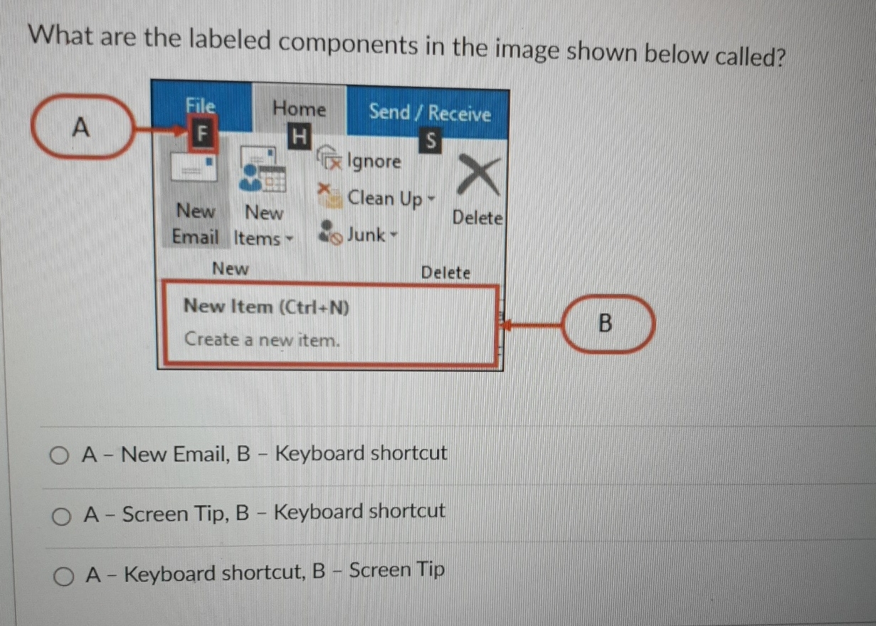 Solved What are the labeled components in the image shown | Chegg.com