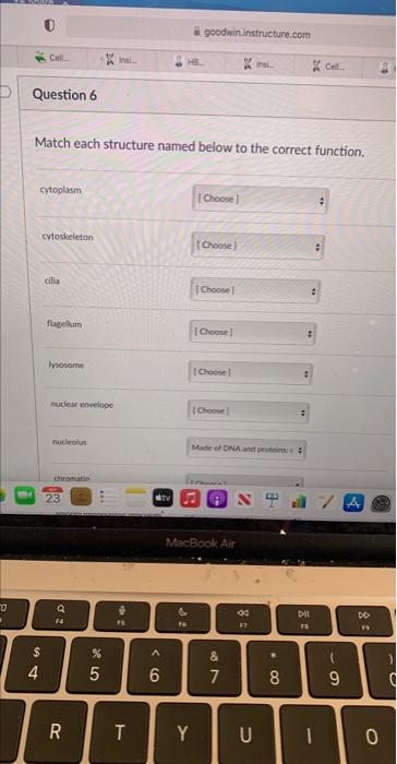 Match each structure named below to the correct | Chegg.com