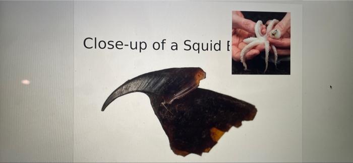 Solved View the photos to gather information regarding the | Chegg.com