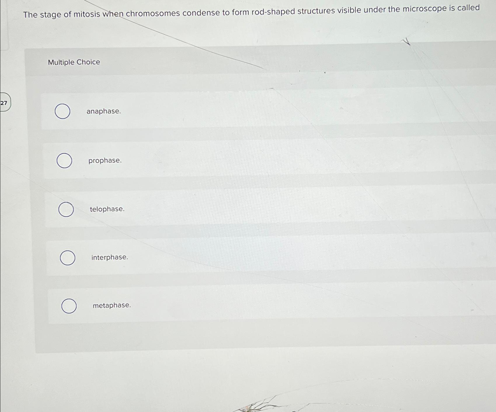 Solved The stage of mitosis when chromosomes condense to | Chegg.com