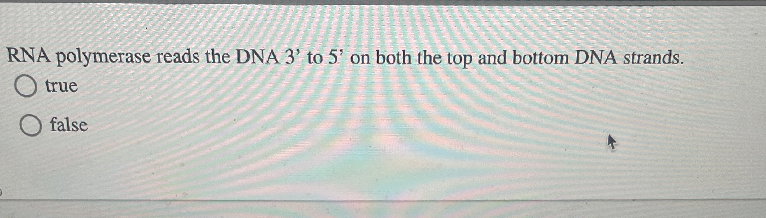 Solved If the first nucleotide after the promoter on the | Chegg.com