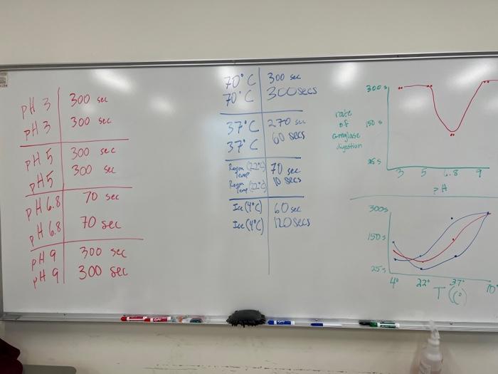 Solved Question 7 2 pts When you added your solution into | Chegg.com