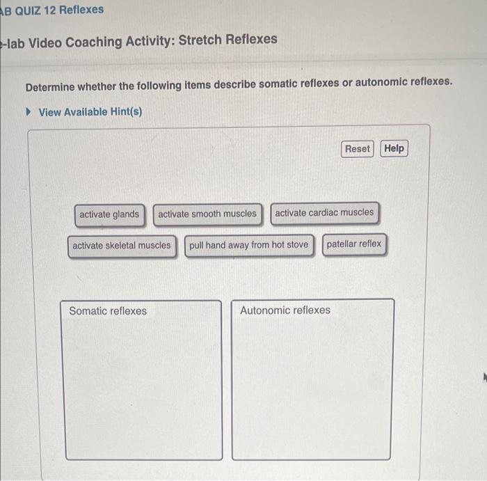 Solved AB QUIZ 12 Reflexes -lab Video Coaching Activity: | Chegg.com