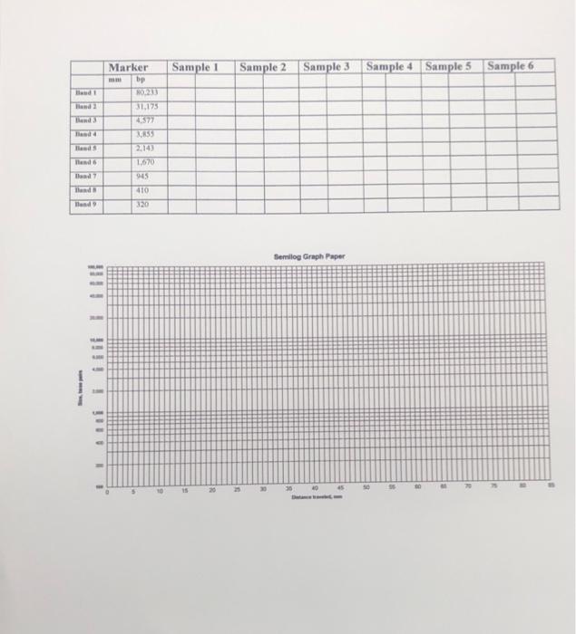 Solved Marker Sample 1 Sample 3 Sample 4 Sample 5 Fampie 6 N | Chegg.com