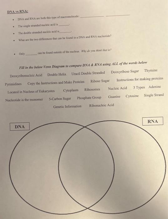 Solved Name: DNA and RNA Worksheet - What is the ontire | Chegg.com