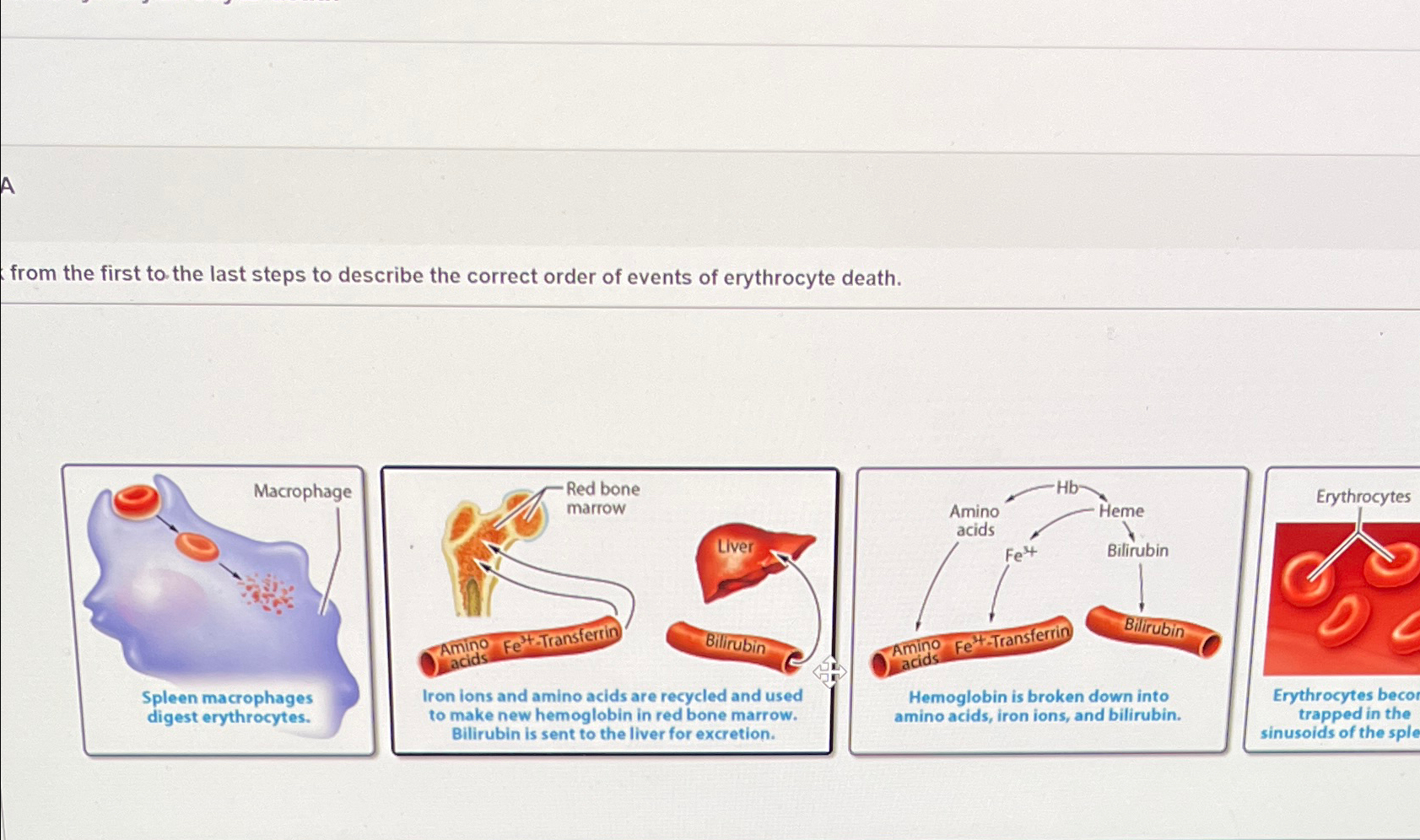Solved from the first to the last steps to describe the | Chegg.com