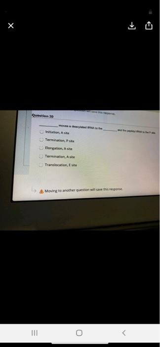 Solved Question 20 Termination, Pite longation Aute | Chegg.com