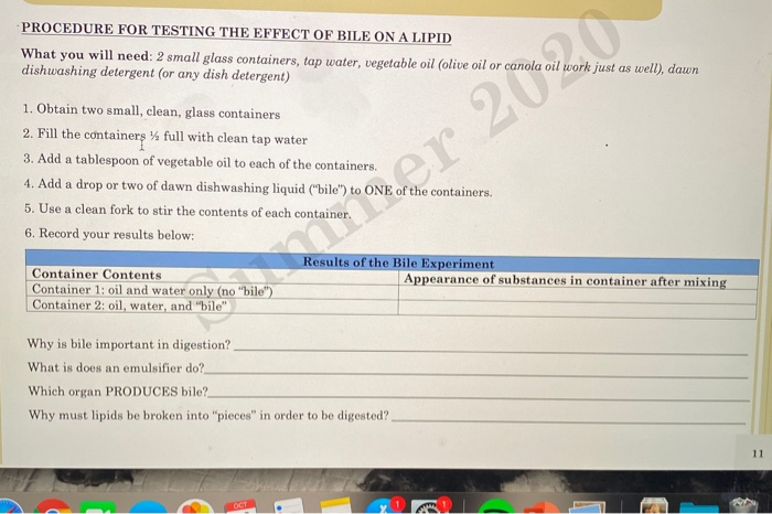 Solved PROCEDURE FOR TESTING THE EFFECT OF BILE ON A LIPID | Chegg.com