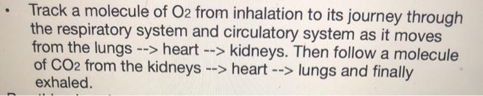 Solved Track a molecule of O2 from inhalation to its journey | Chegg.com
