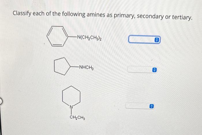 Solved Classify each of the following amines as primary, | Chegg.com Solved Classify each of the following amines as primary, | Chegg.com