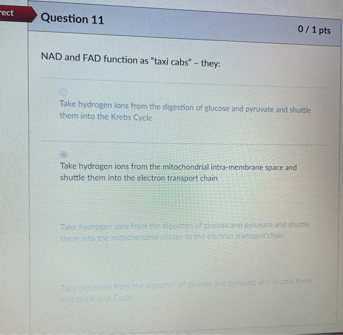 Solved Fect Question 11 0 / 1 pts NAD and FAD function as | Chegg.com