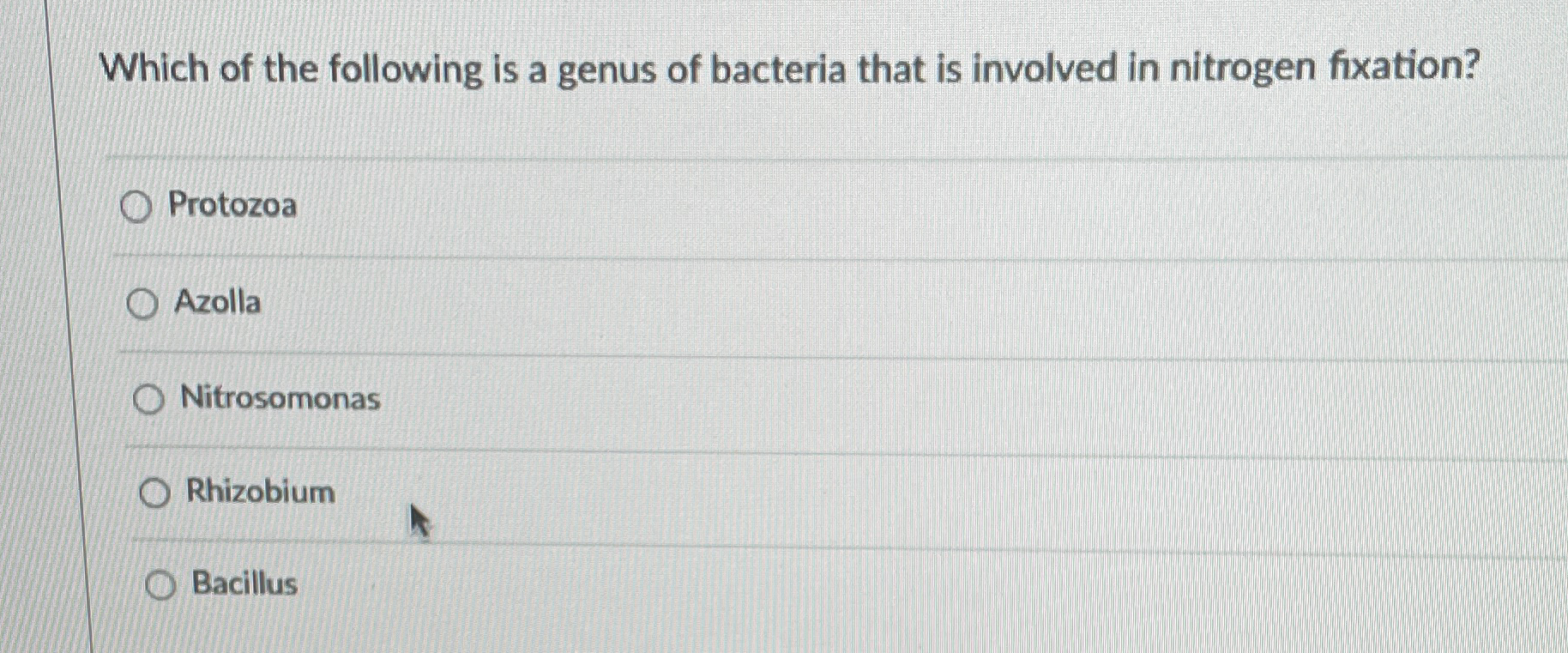 Solved Which of the following is a genus of bacteria that is | Chegg.com