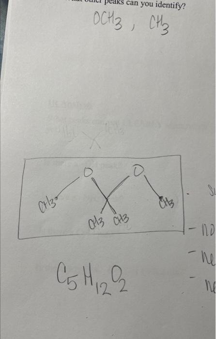 Solved C5H12O2 | Chegg.com