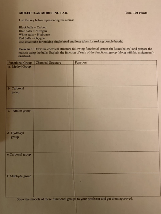 Solved MOLECULAR MODELING LAB. Total 100 Points Use the key | Chegg.com