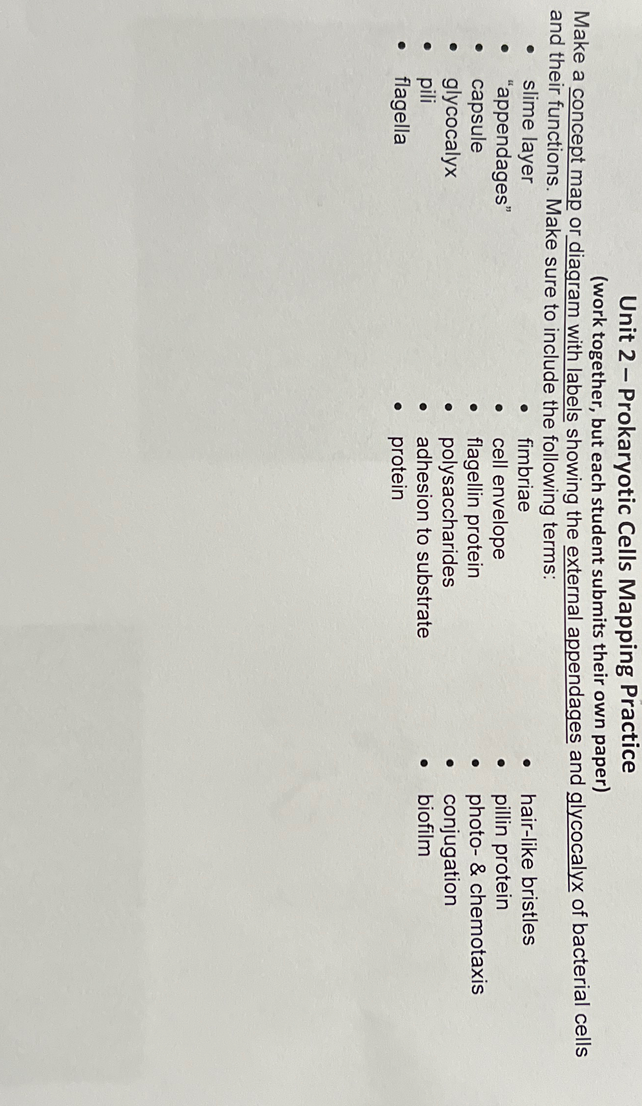 Solved Unit 2 - ﻿Prokaryotic Cells Mapping Practice(work | Chegg.com
