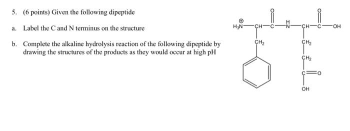 Solved 5. ( 6 points) Given the following dipeptide a. Label | Chegg.com Solved 5. ( 6 points) Given the following dipeptide a. Label | Chegg.com
