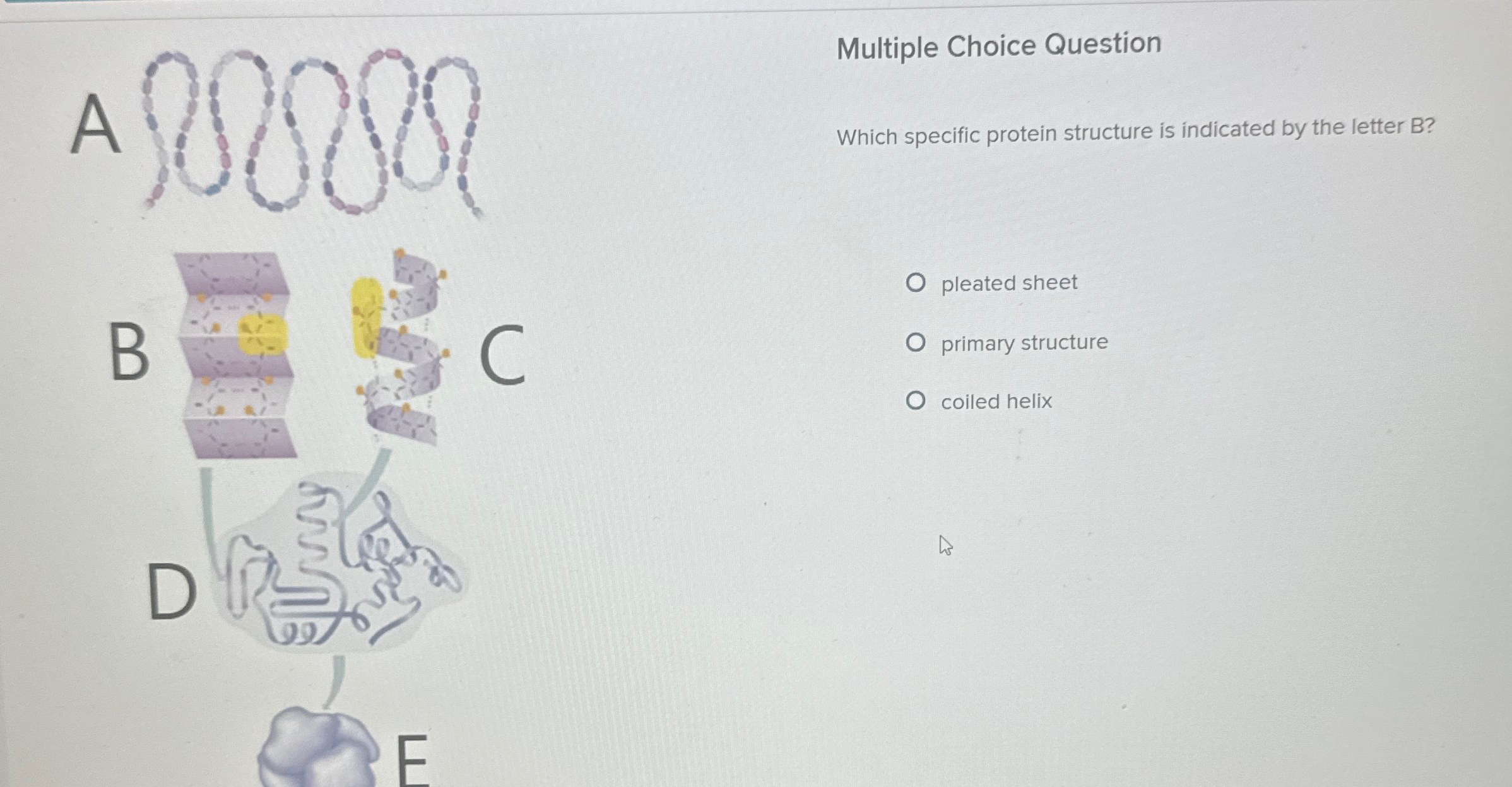 Solved Aof ofMultiple Choice QuestionWhich specific protein | Chegg.com